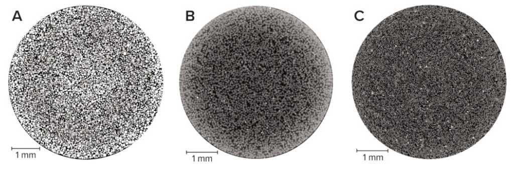 [Process Development] Structure and Performance of Chromatography ...