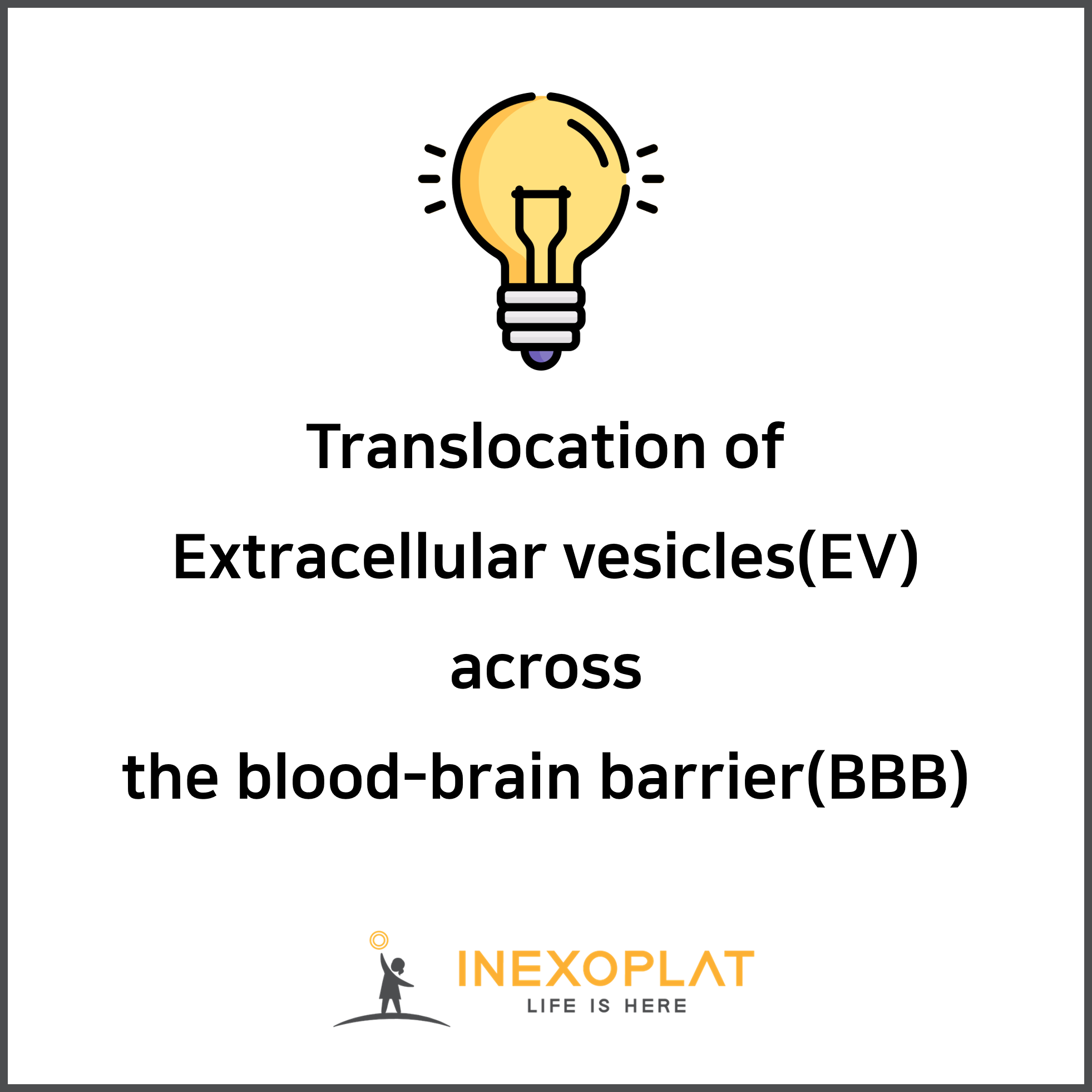 [IEP X INSIGHT] Translocation of Extracellular vesicles across the ...