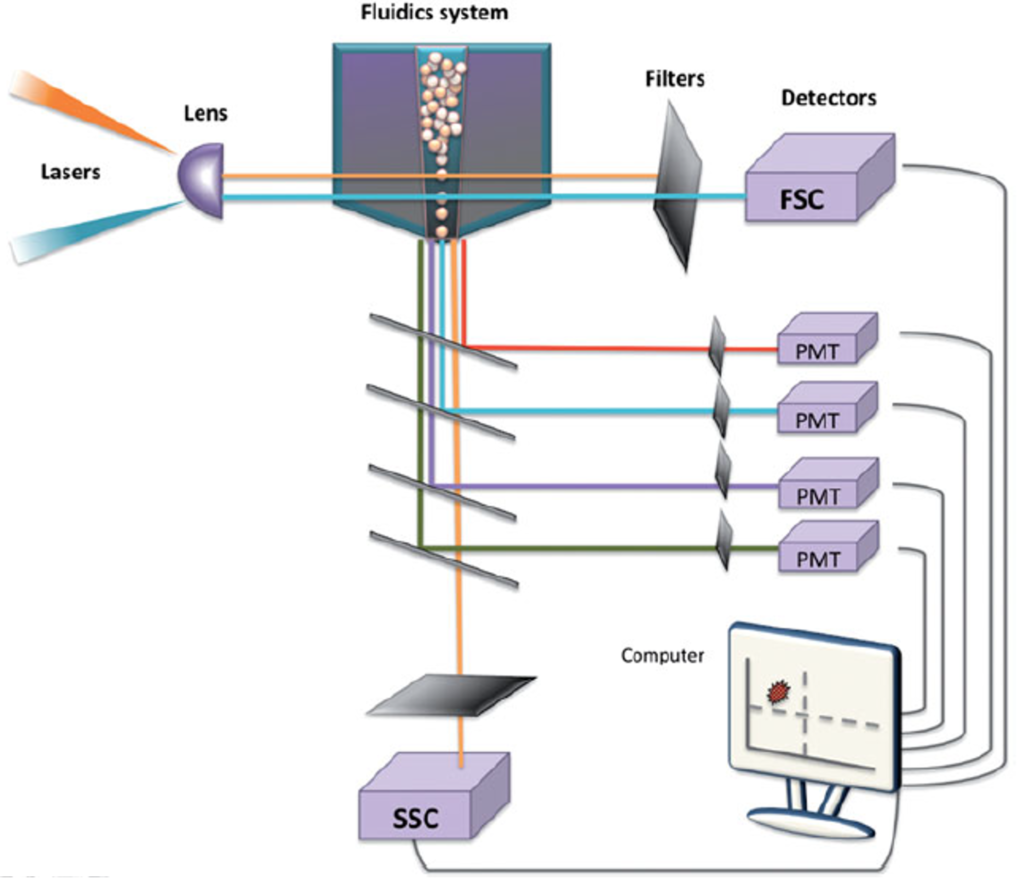 [Process development] Flow cytometry Part 1. - INEXOPLAT 인엑소플랫